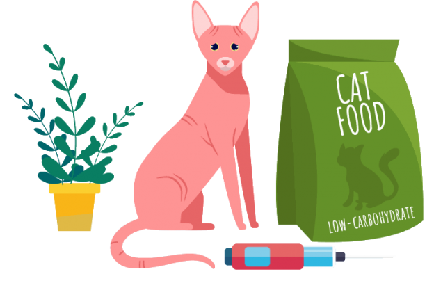Diabète chez le chat : causes, symptômes et traitement - Cats.com