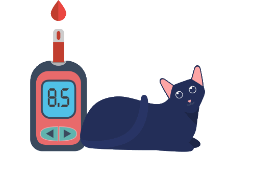 Diabète chez le chat : causes, symptômes et traitement - Cats.com
