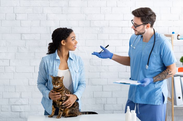Comment retirer une tique d'un chat ? 6 étapes éprouvées. - Cats.com