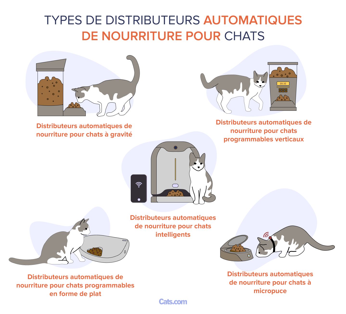 Les 8 meilleurs distributeurs automatiques de nourriture pour chats ...